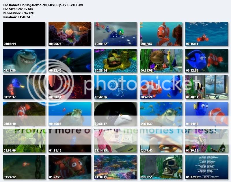 Finding Nemo Photo by Two-Face_90 | Photobucket