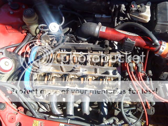 need help timeing a zetec on 99 escort zx2 | Focus Fanatics Forum
